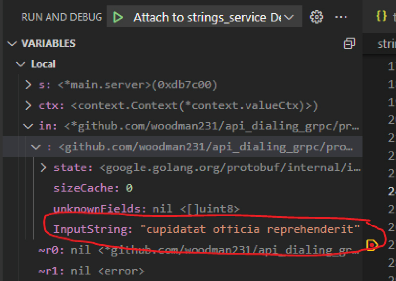 GO: Debugging Each Service While It Is Running In Its Own Docker Container
