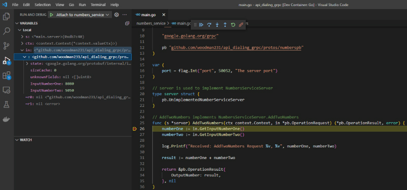 GO: Debugging Each Service While It Is Running In Its Own Docker Container